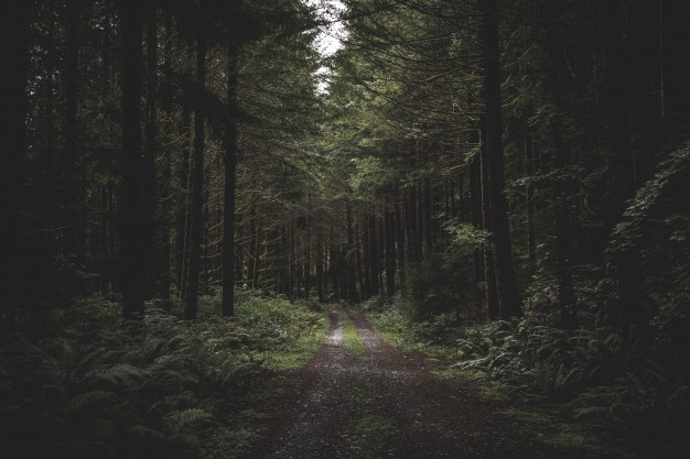 Narrowing Options – Entropolitan